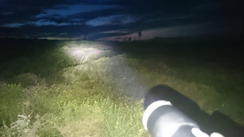 LED LENSER MT10